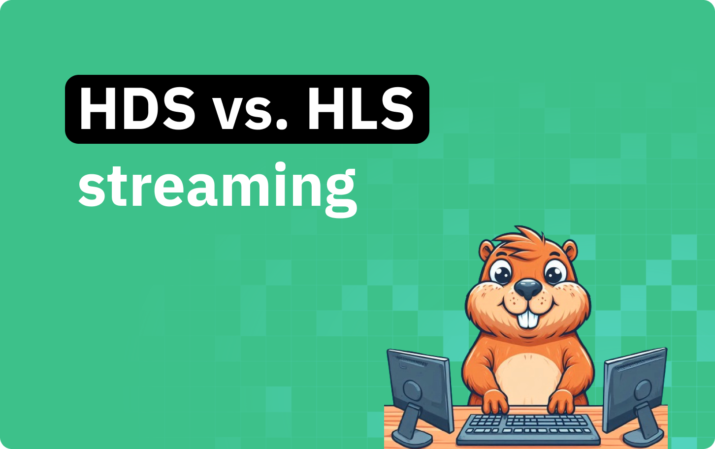 HDS vs. HLS: Key Differences & Best Use Cases for Streaming